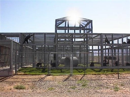 Chimps' future prompts debate over NM primate lab