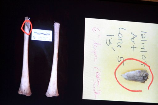 Investigator: Caylee's remains found near road