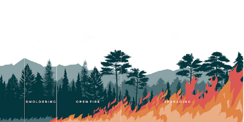 Dryad Networks Upgrades its Silvanet Wildfire Detection Technology ...